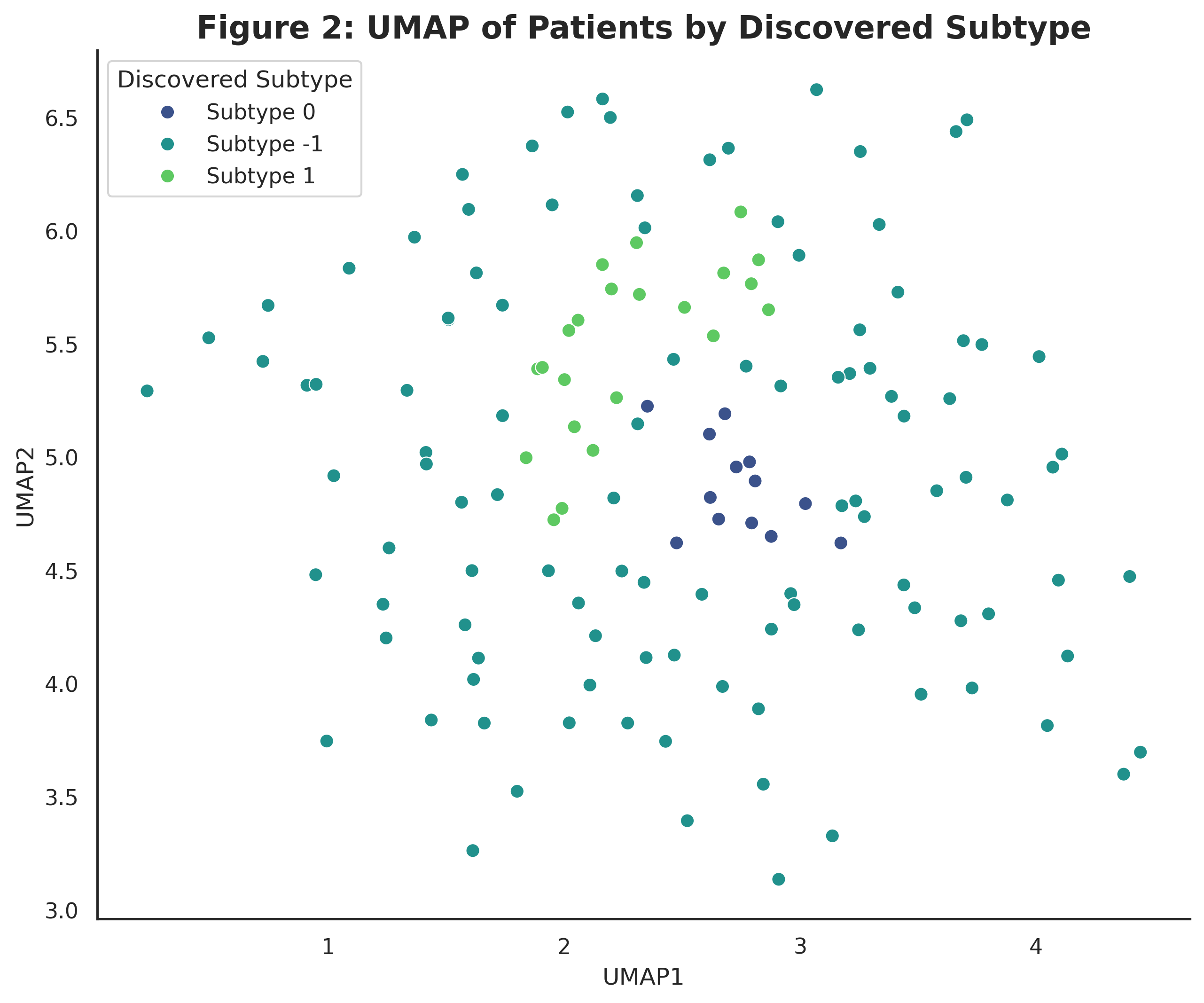 UMAP Visualization of Patient Subtypes